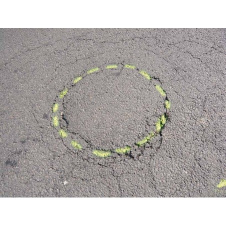 Fluorescent Temporary Marking Spray Paint TEMPO TP - SOPPEC | Technima