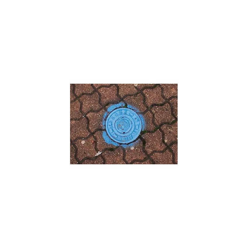 Fluorescent Temporary Marking Spray Paint TEMPO TP - SOPPEC | Technima