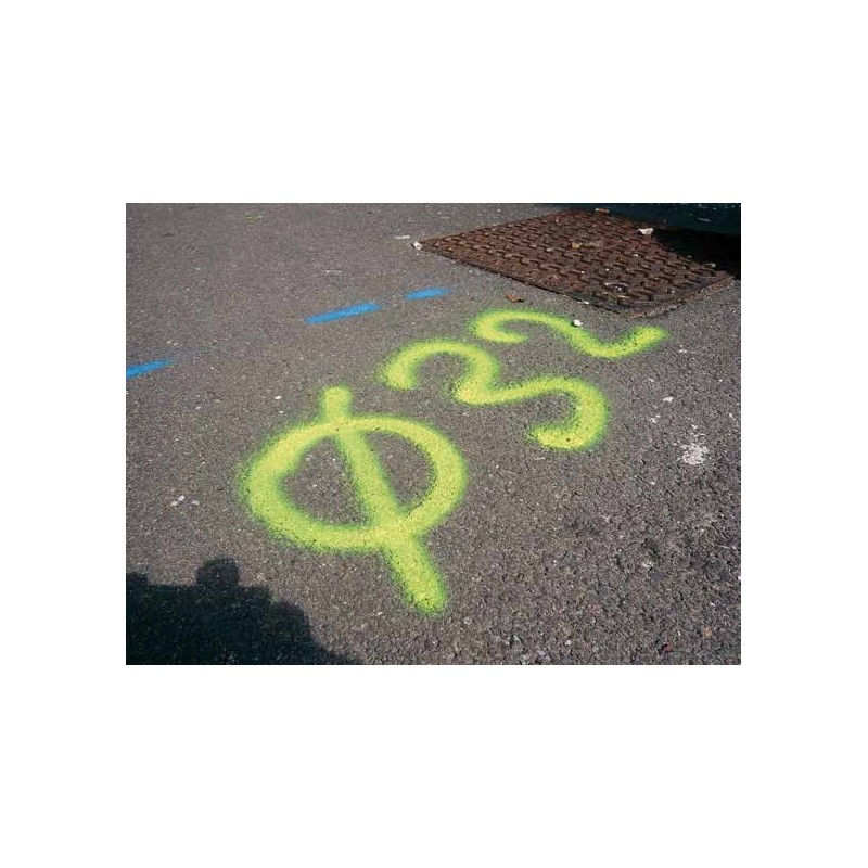 Fluorescent Temporary Marking Spray Paint TEMPO TP - SOPPEC | Technima